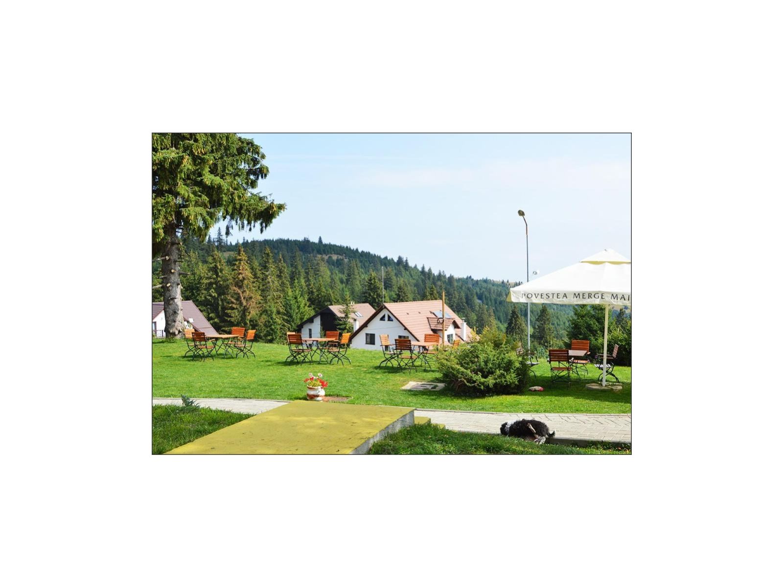 Pensiunea Romantic Belvedere Paltinis, Arena PlatosTel: 074622******