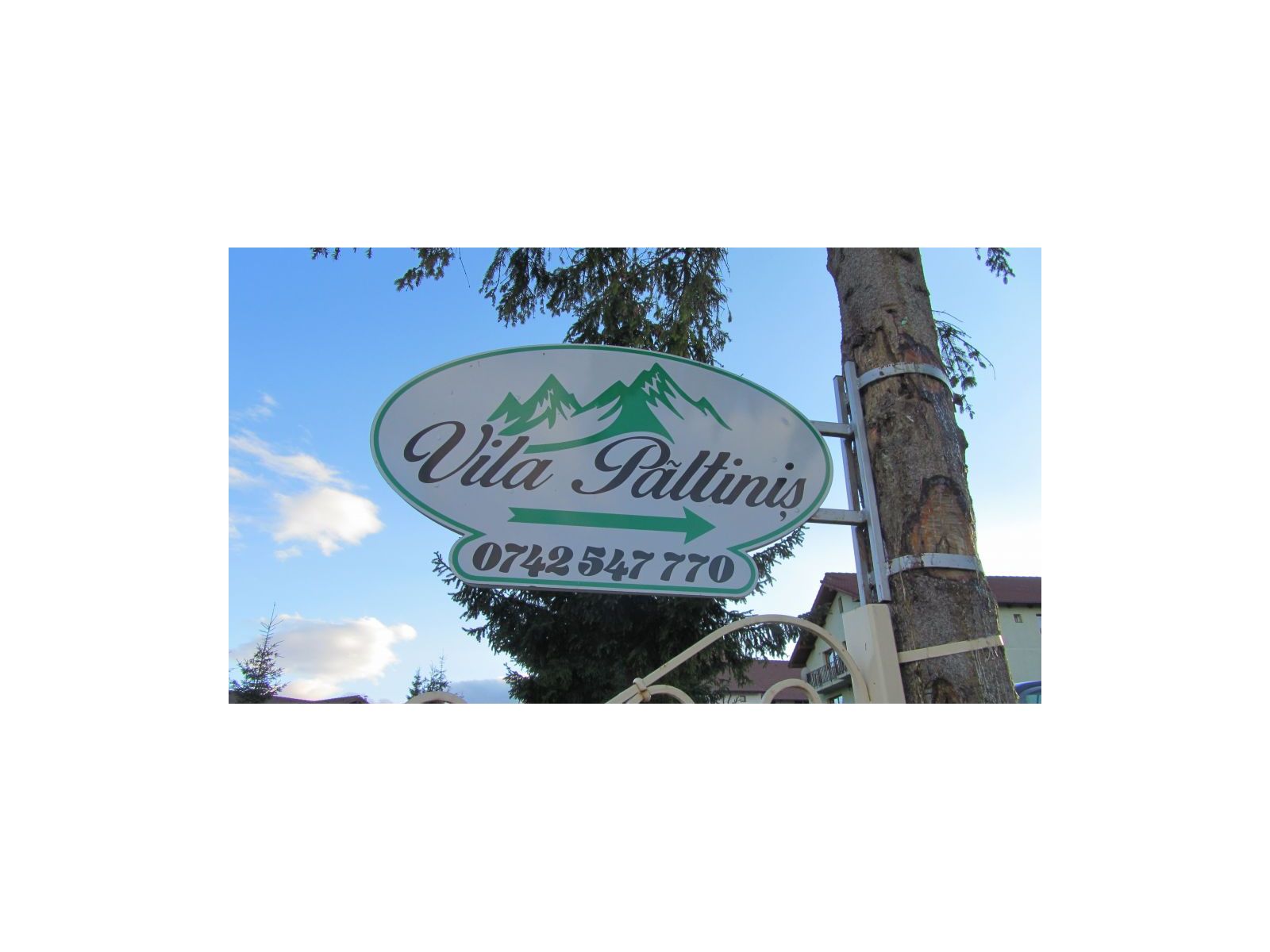 Vila Paltinis, Arena PlatosTel: 074254******