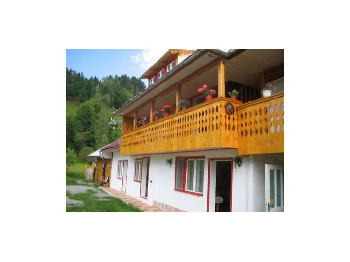 Pensiunea Vila Rustica, AlbacTel: 074553******