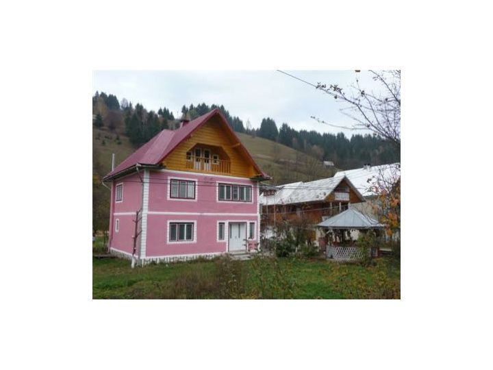 Pensiunea Vila Rustica, AlbacTel: 074553******