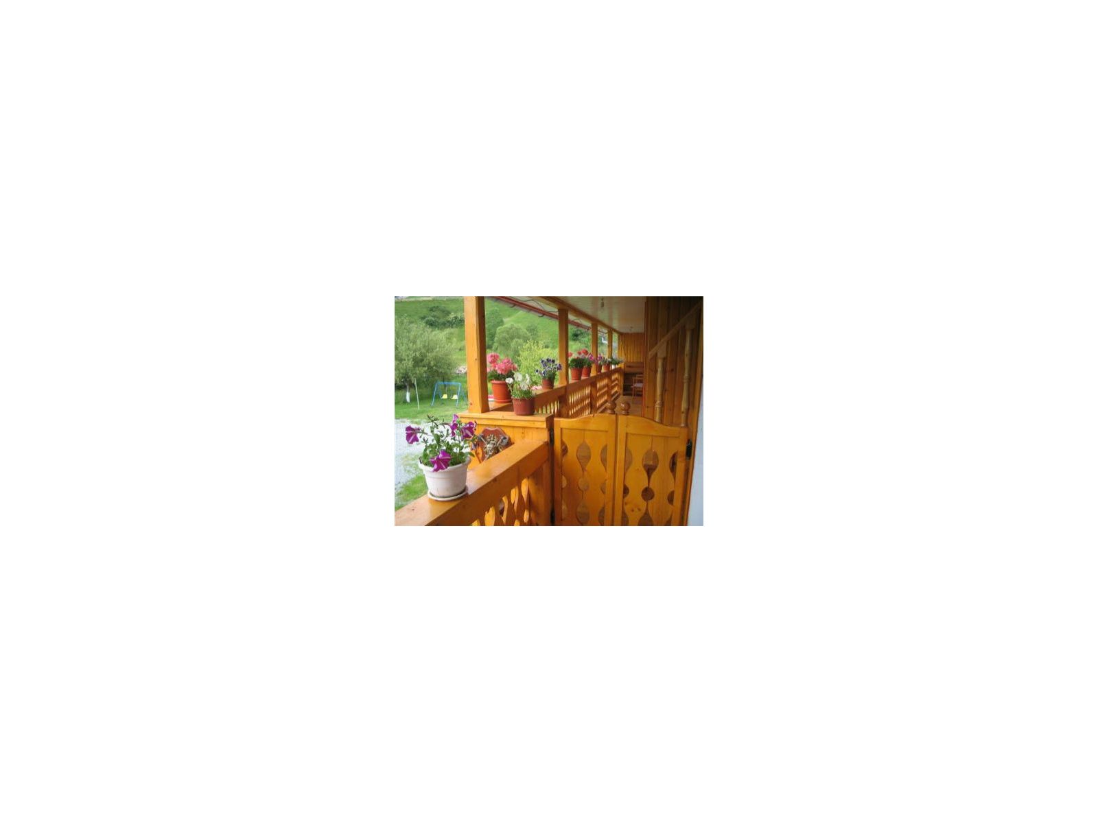 Pensiunea Vila Rustica, AlbacTel: 074553******