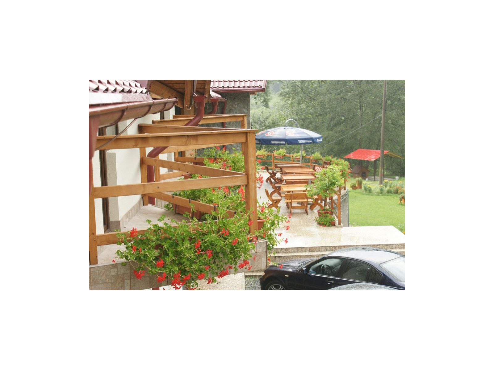 Cabana Cotul Ariesului, Vadu MotilorTel: 025877******
