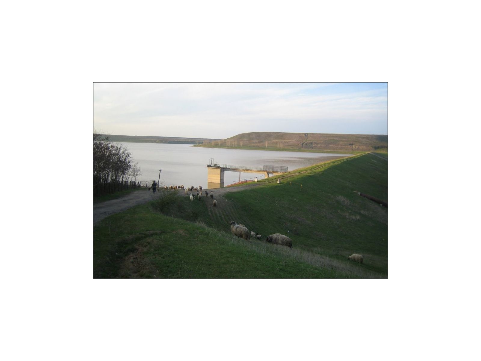 Pensiunea Fantanele, RadovanTel: 076651******